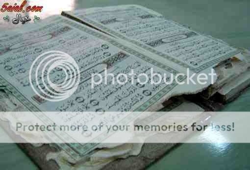 Small insects eating the Quran? | Islam.. religion of peace and love!