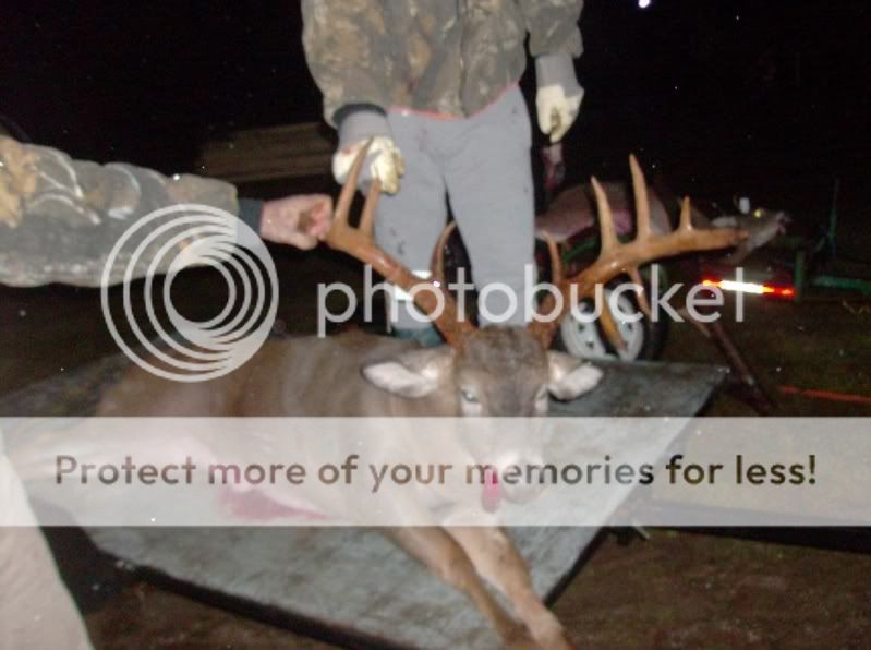 chevreuil.net :: Consulter le sujet - Gros buck Zone 3