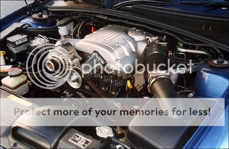 vx cai from xu6 | Just Commodores