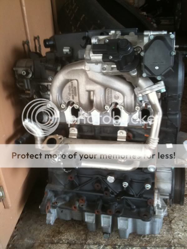 VWVortex.com - 2006 Jetta TDI 1.9 BRM 55k long block