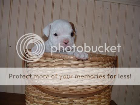 Cooper Then & Now Pics