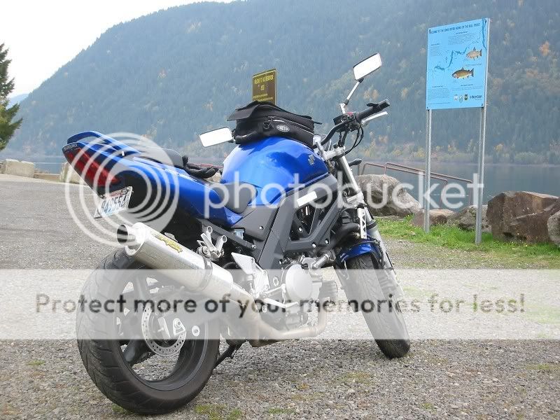 Orange SV (NEW PICS page 3) | Page 4 | Suzuki SV650 Riders Forum