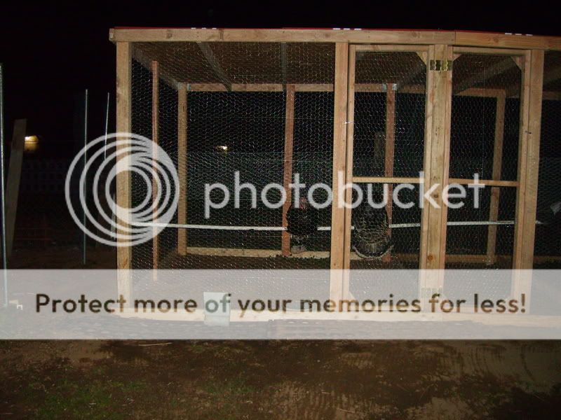 Lim yang: Learn Plans for building a turkey coop