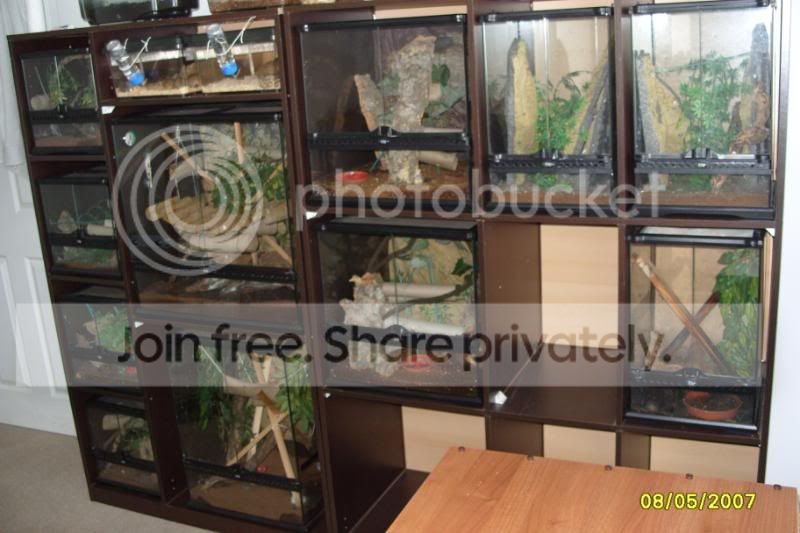 stack and rack by exotic reptile housing | Reptile Forums