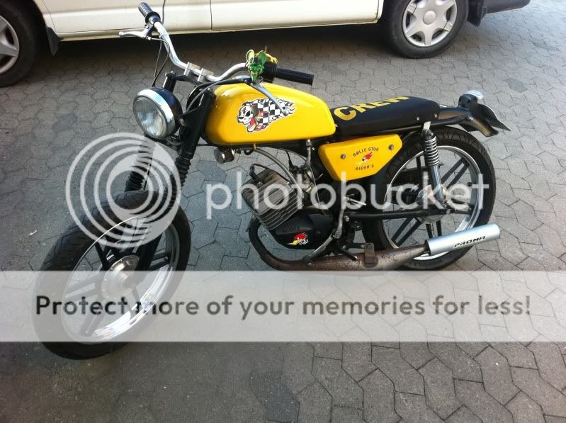 Min Tempo Panter - Tempo-online